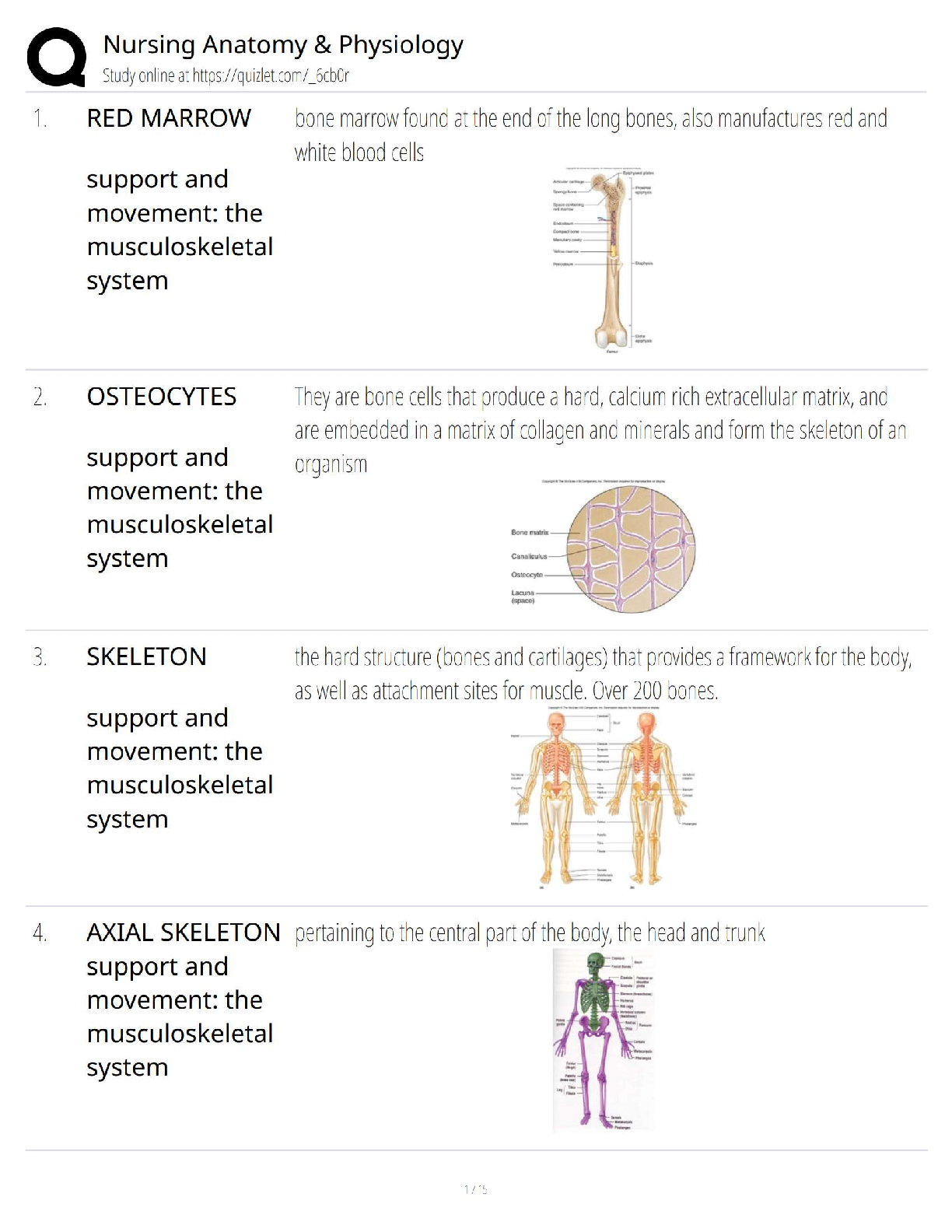 Nursing Anatomy & Physiology / 2025 New Version / Score 100% Study ...