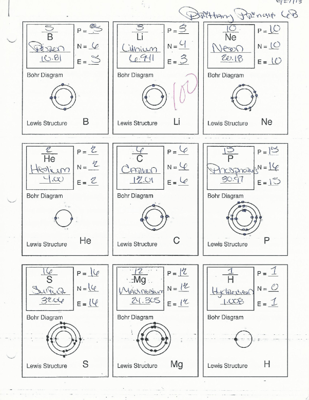 ANATOMY Human Anat Periodic Table Basics Worksheet