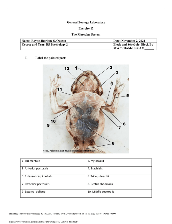 Exercise 12 Answer Sheet University of San Carlos - Talamban Campus ...