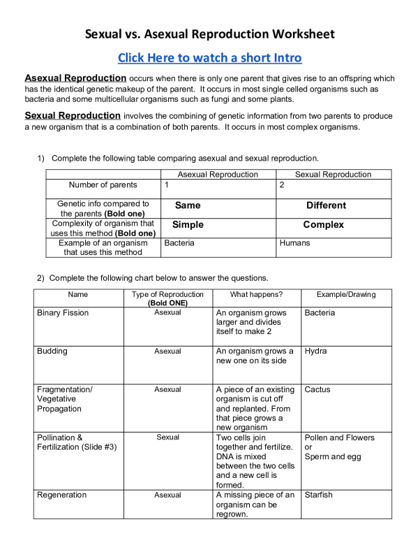 Answer Key Sexual vs. Asexual Reproduction Worksheet Harrisburg ...