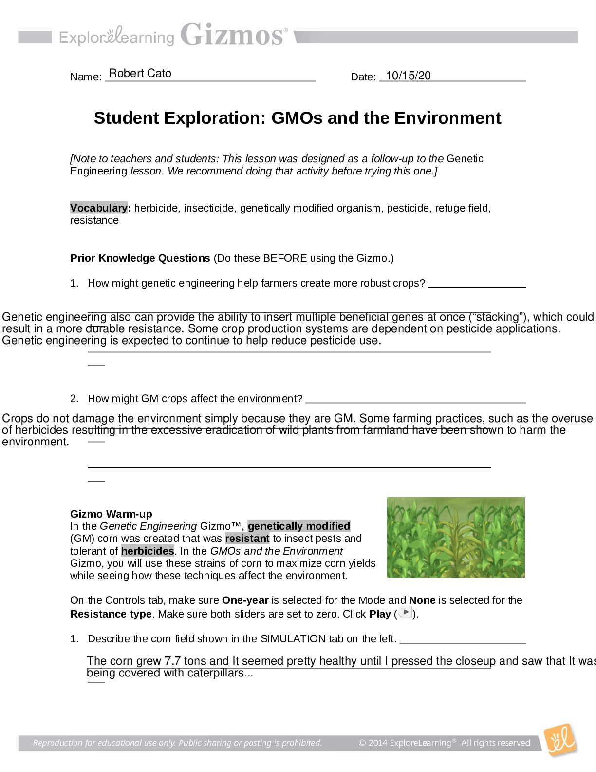 Student Exploration: GMOs and the Environment