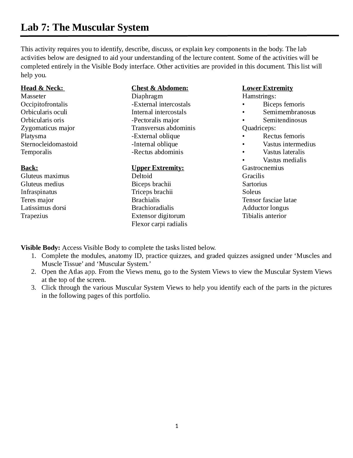 NURSING 806-177 Lab 7: The Muscular System