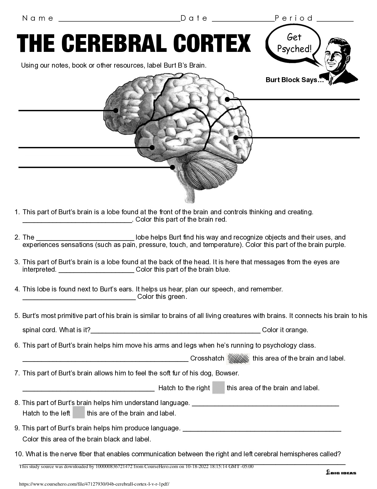 THE CEREBRAL CORTEX Using our notes, book or other resources, label ...