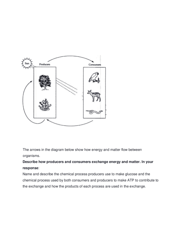 BIOLOGY 203A The arrows in the diagram below show how energy and matter ...