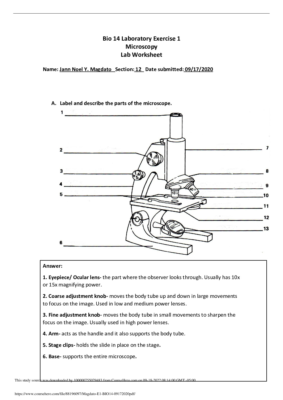 Bio 14 Laboratory Exercise 1 Microscopy Lab Worksheet