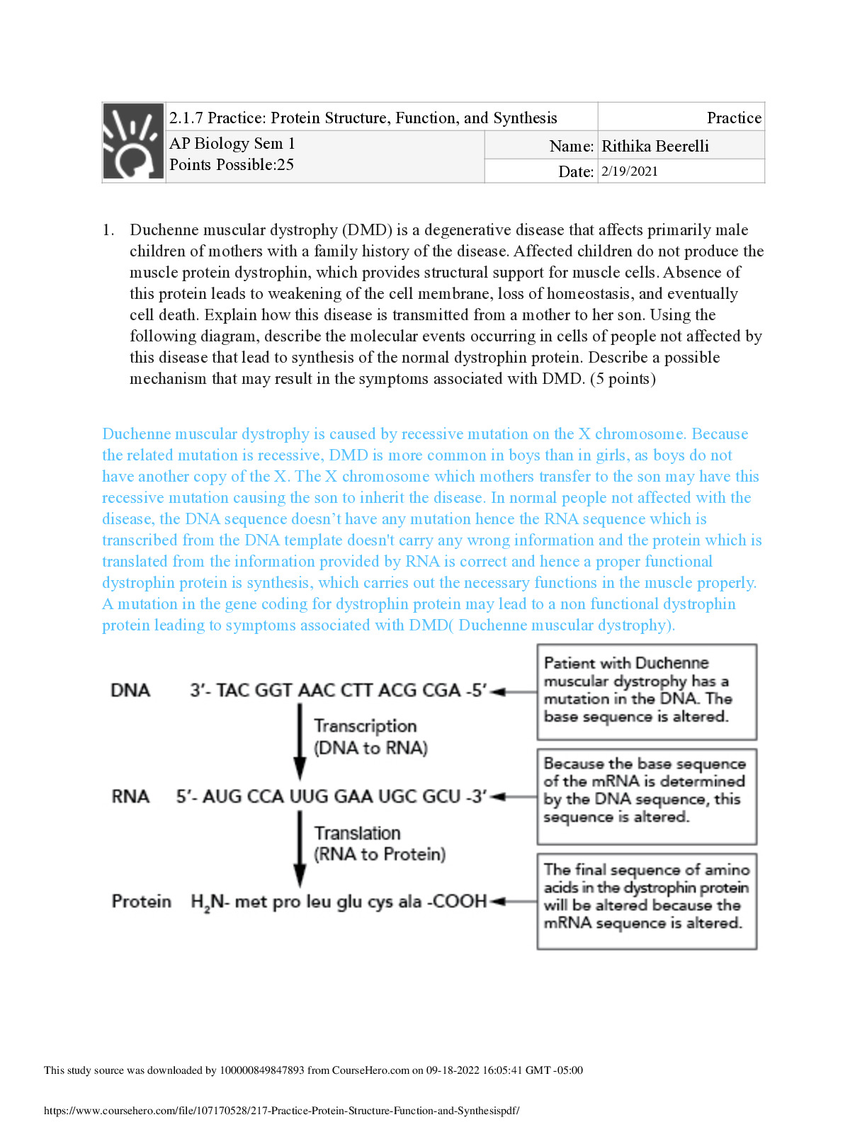 BIOLOGY 1010: 2.1.7 Practice: Protein Structure, Function, and ...