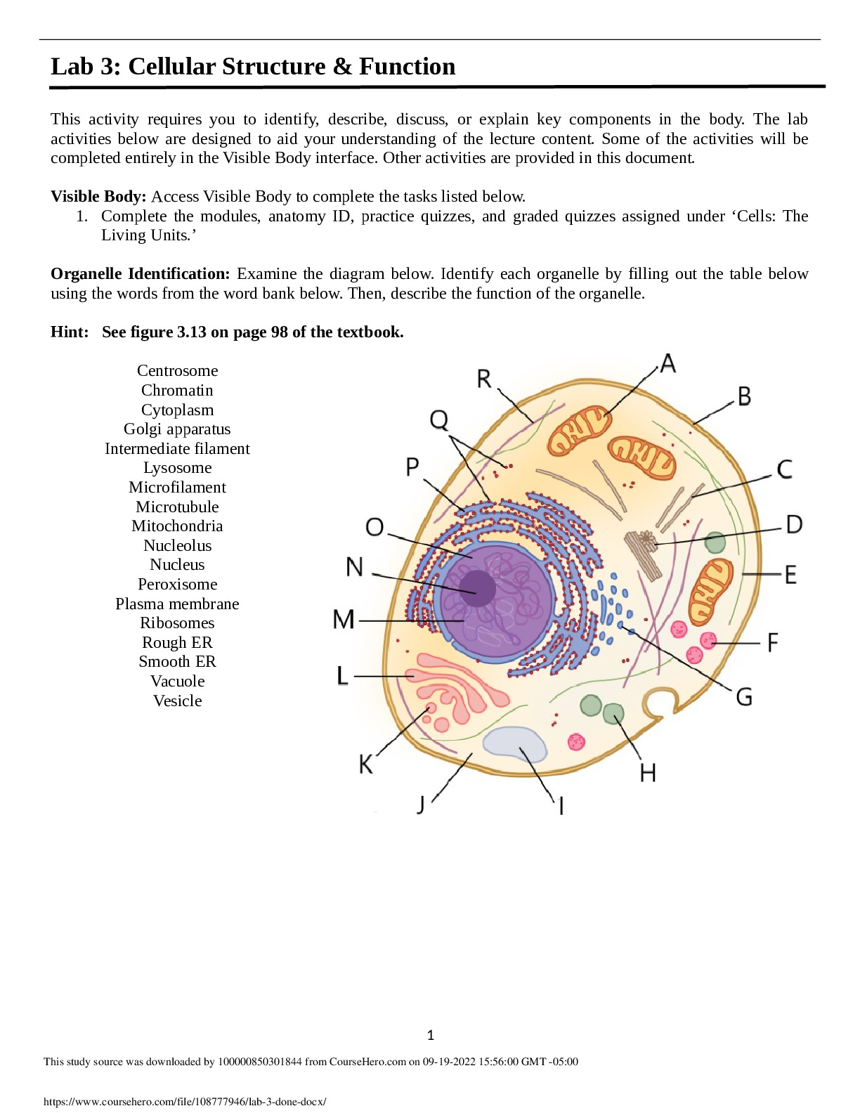 Nursing 806 177 Lab 3 Cellular Structure And Function Lab 3 Done