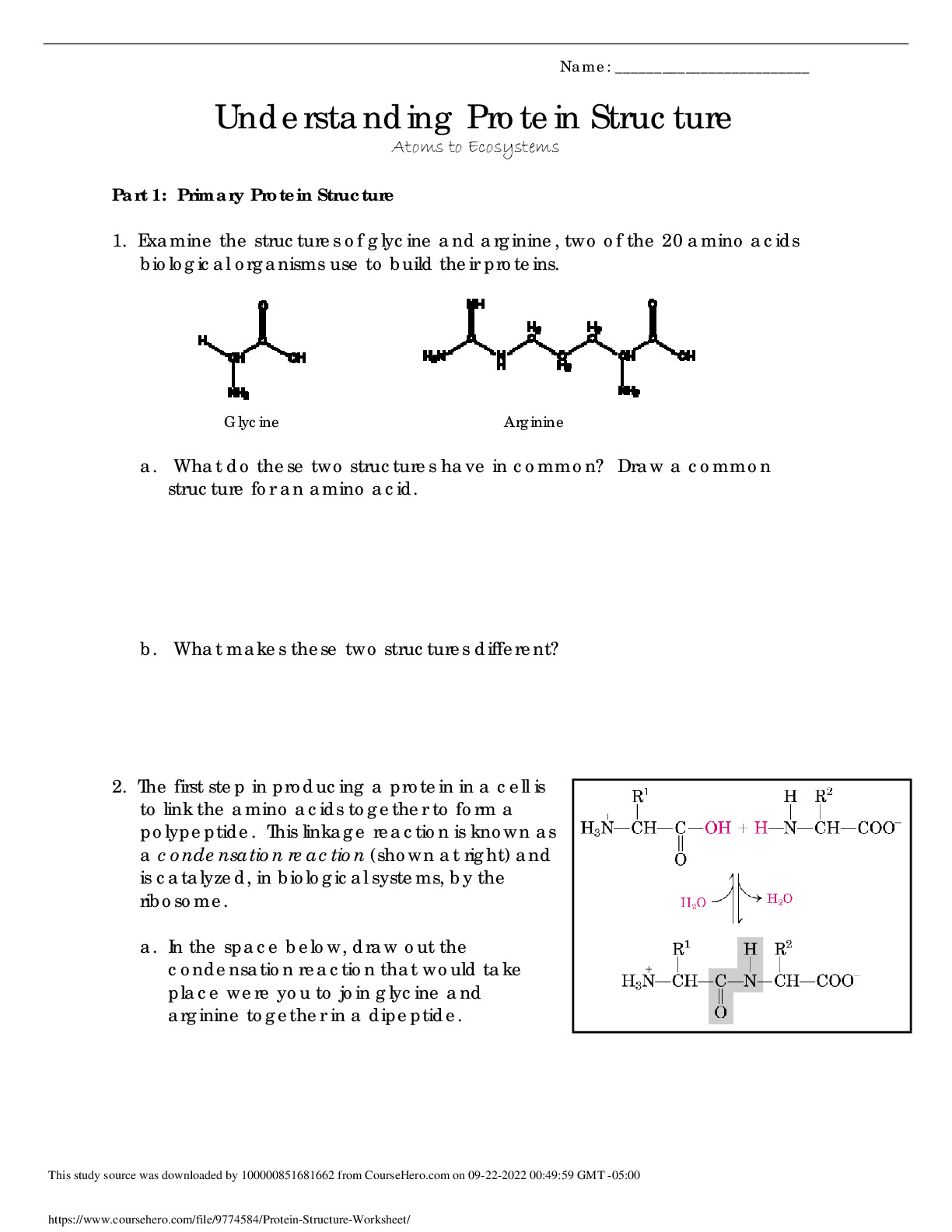 Protein-Structure-Worksheet Cambridge CHEM CHEM 101