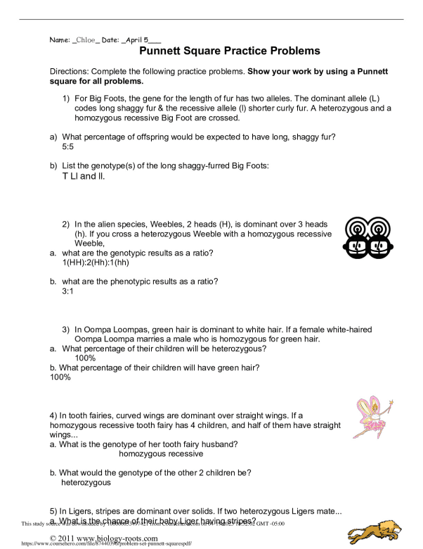 (problem set) punnett squares.pdf