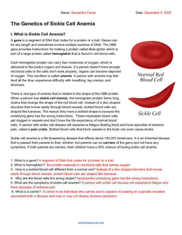 The Genetics of Sickle Cell Anemia. York University BIOL BIOL1010