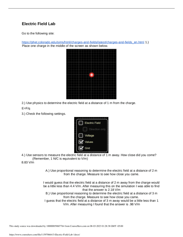 3 - Electric Field Lab-1.