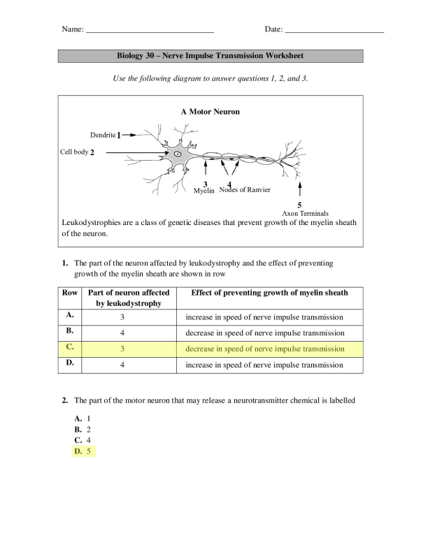 Biology 30 - Nerve Impulse Transmission Worksheet. Strathmore High ...