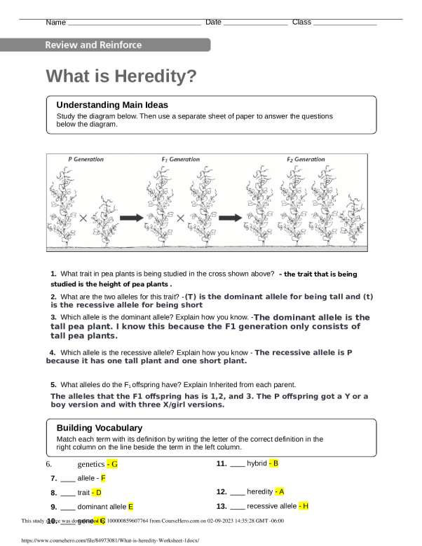What_is_heredity_-_Worksheet_1. University of Alabama, Birmingham ...