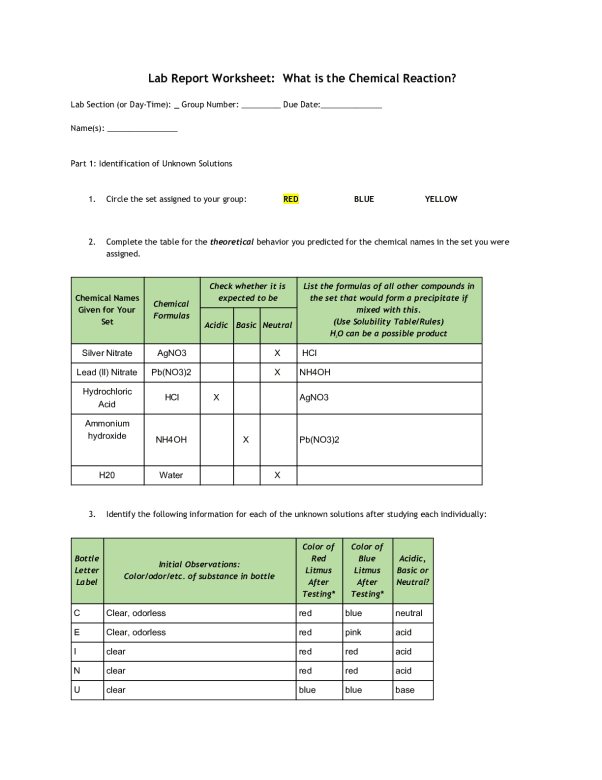 CHM 113 Lab Report Worksheet_ What is the Chemical Reaction.