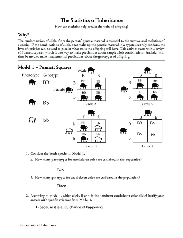 19 The Statistics of Inheritance-S copy Austin Peay State University ...