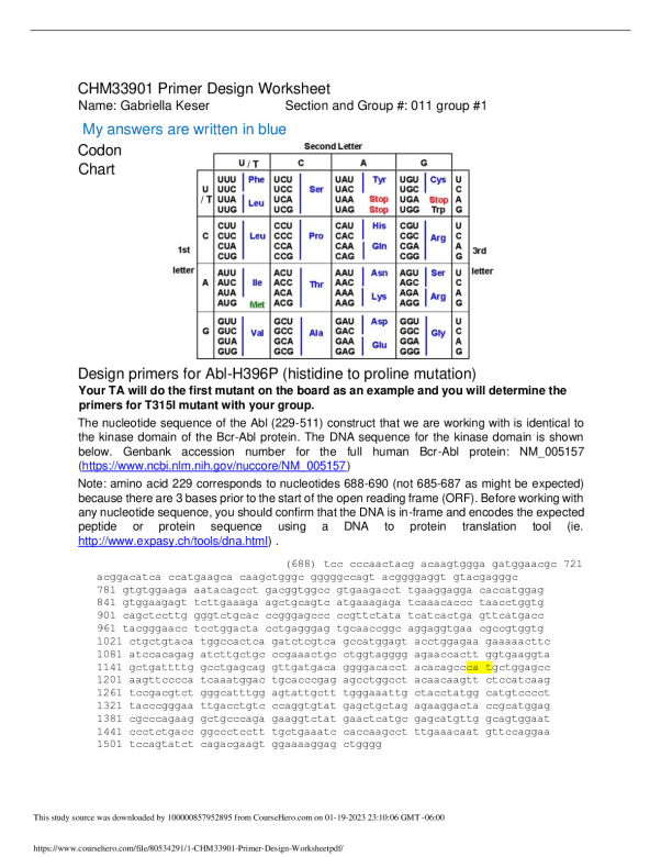 1 CHM33901 Primer Design Worksheet Purdue University CHM 33901