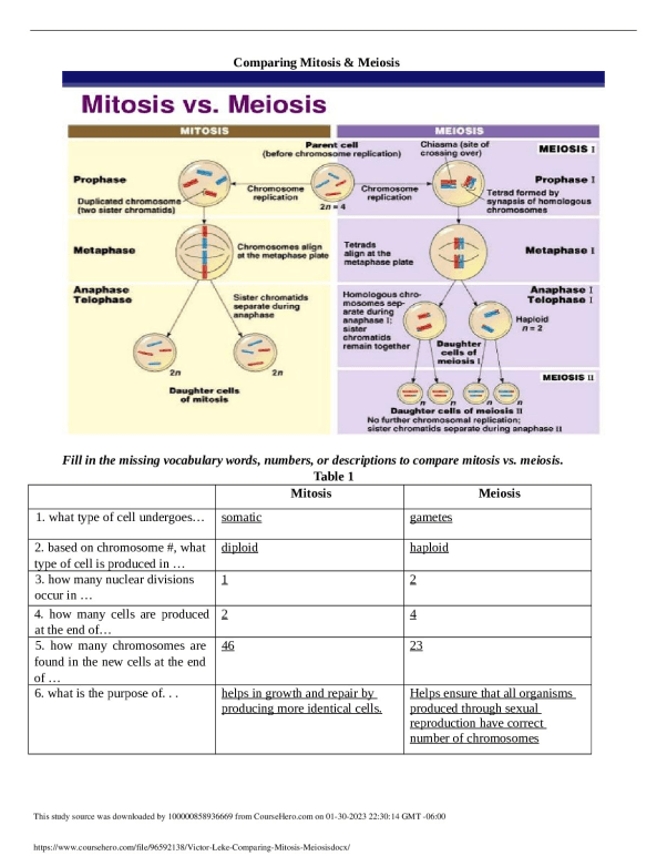 Victor_Leke_-_Comparing_Mitosis__Meiosis Westminster High School ...