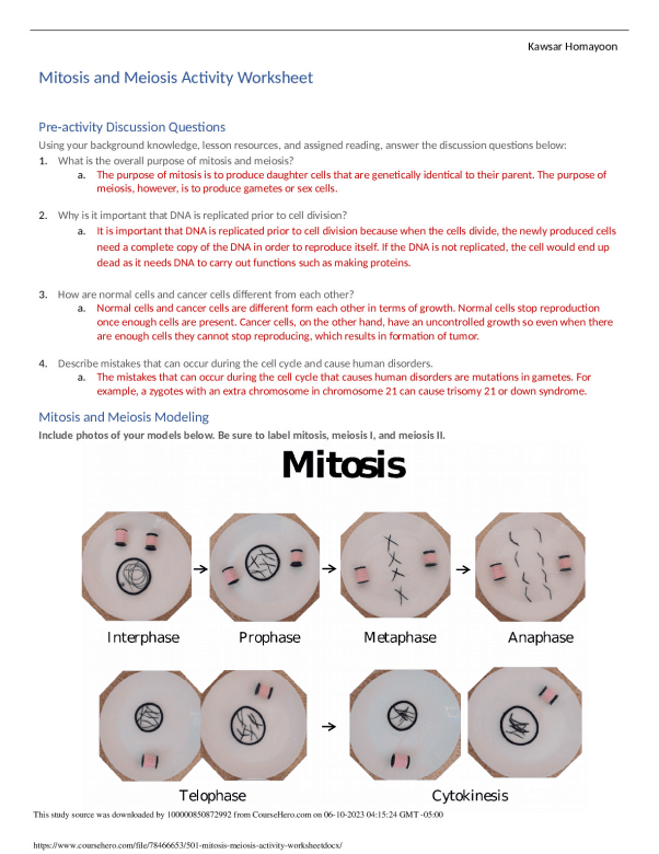 5.01 mitosis meiosis activity worksheet Dismiss Irvine Valley College ...