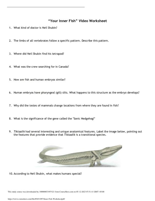Inner Fish-Worksheet.pdf