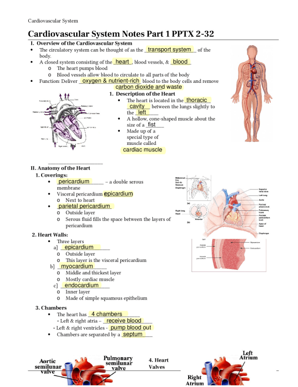 Cardiovascular System Notes Part 1 Pptx 2 32