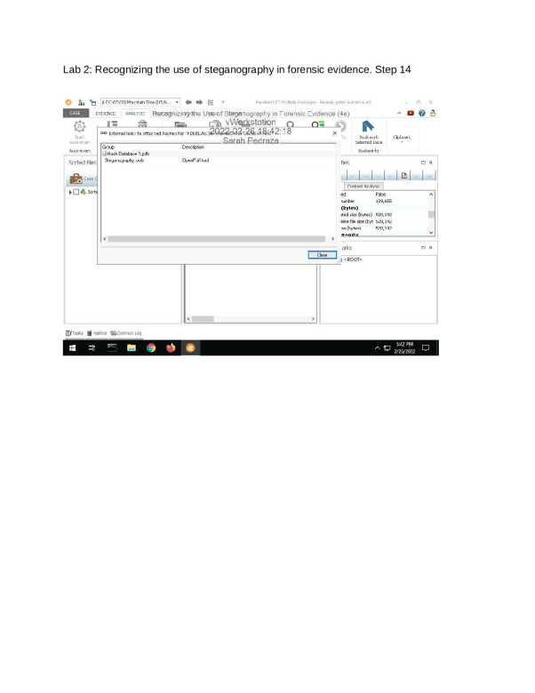 Lab 2 Recognizing The Use Of Steganography 