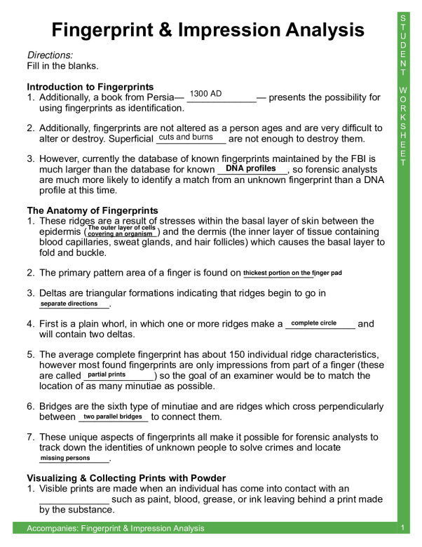 Fingerprint & Impressions Worksheet