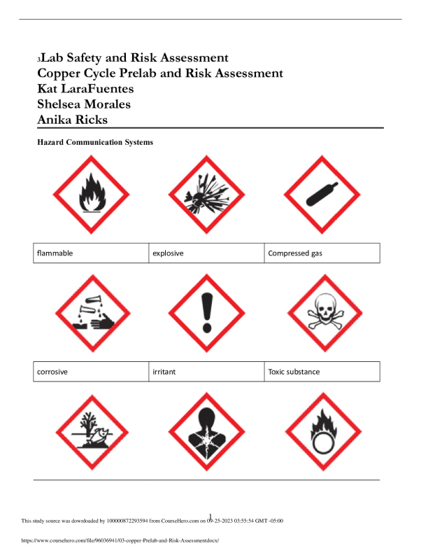 03_copper Prelab and Risk Assessment.