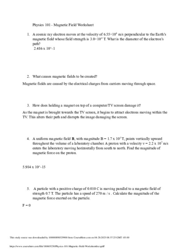 Physics 101 - Magnetic Field Worksheet
