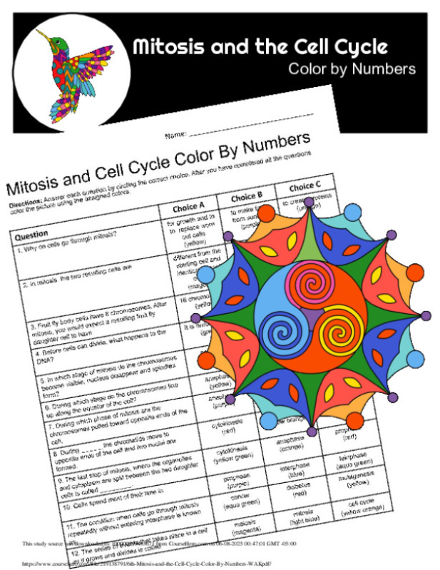 6th Mitosis and the Cell Cycle Color By Numbers WAK