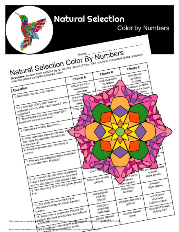 Natural Selection Color by Numbers