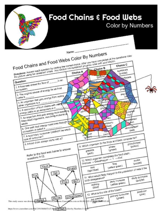 Science 7TH Food Chains & Food Webs Color by Numbers