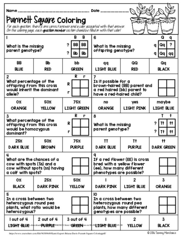 Kami Export - Briana Davis - Punnett Square Coloring.