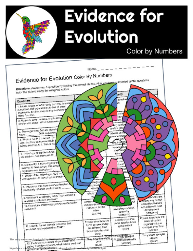 Evidence for Evolution Color by Numbers