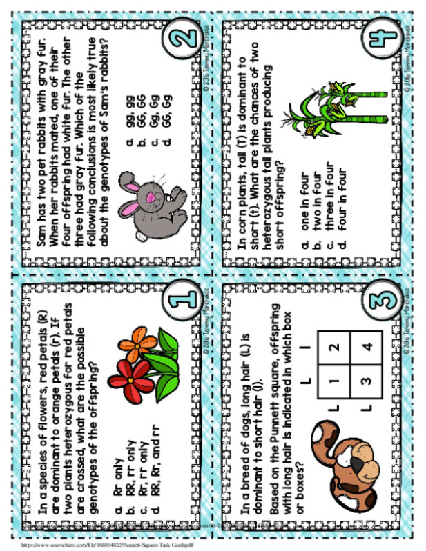 Punnett Square Task Cards.