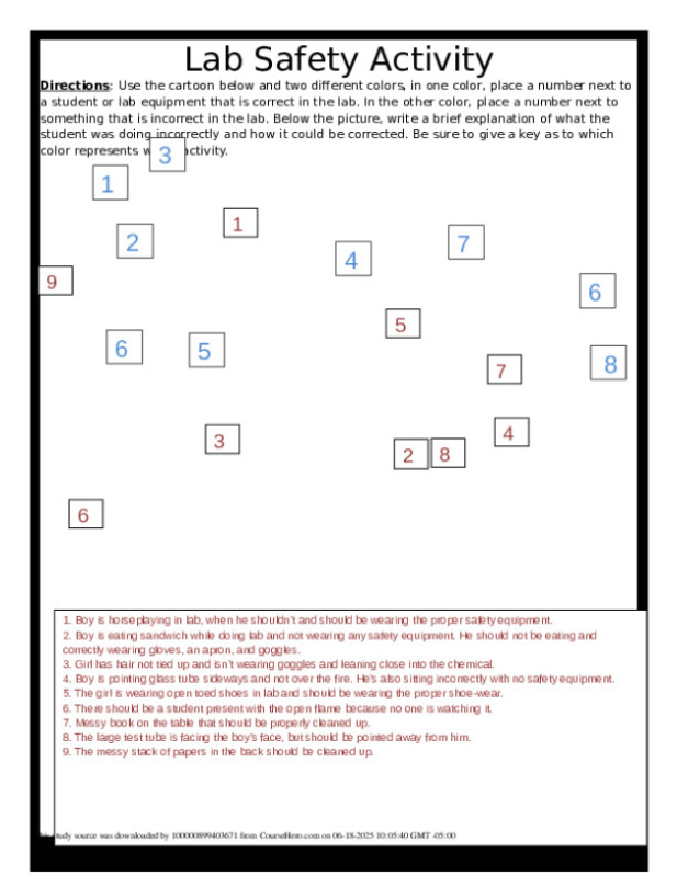 Lab Safety Activity.
