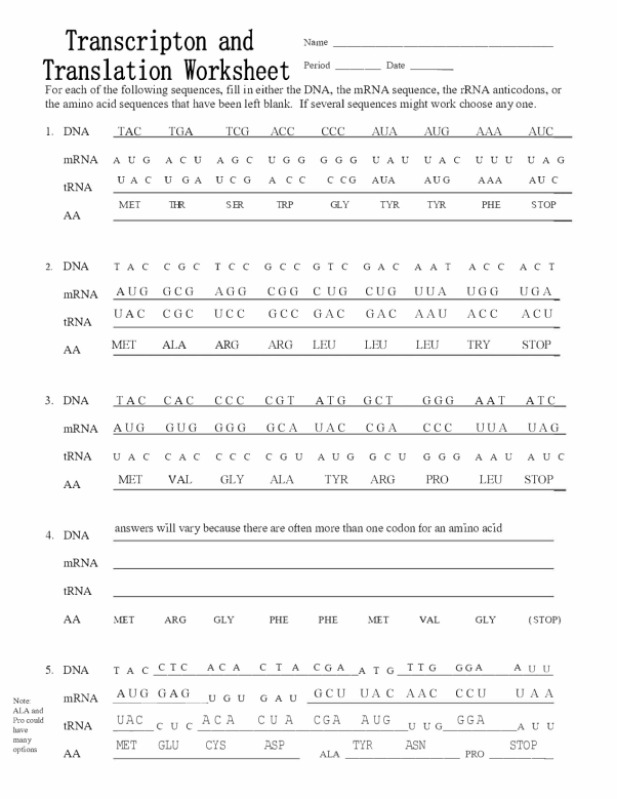 BIOLOGY HL Transcripton and Translation Worksheet | fill in either the ...