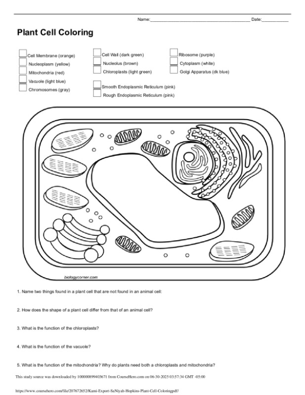Jackson State University BIO 103- Plant Cell Coloring