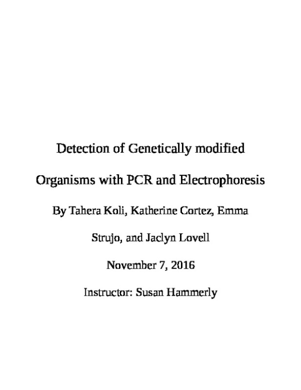 Detection Of Genetically Modified Organisms With Pcr And Electrophoresis
