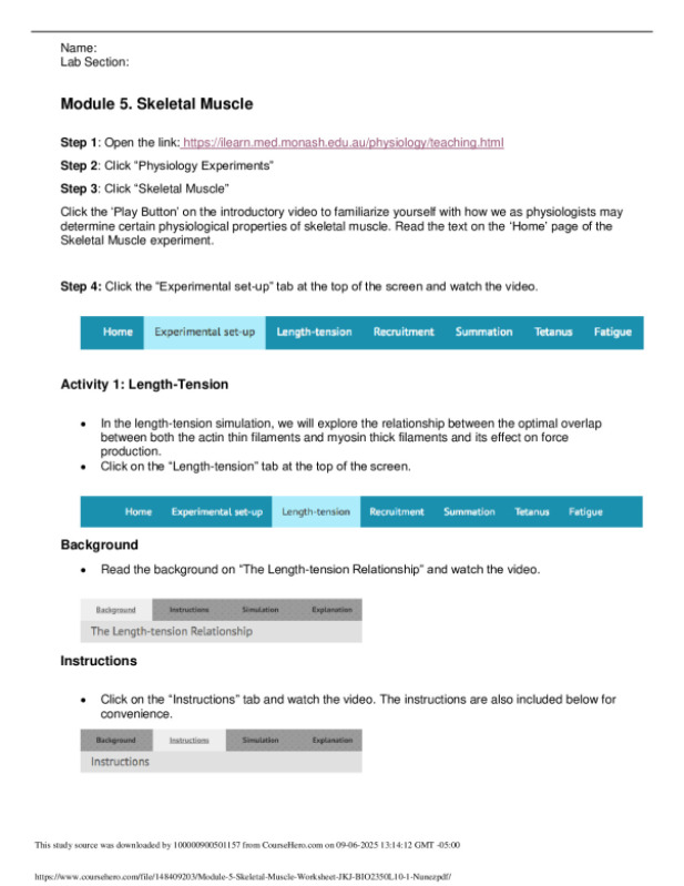 Module 5 Skeletal Muscle Worksheet + JKJ _BIO2350L.10-1_Nunez